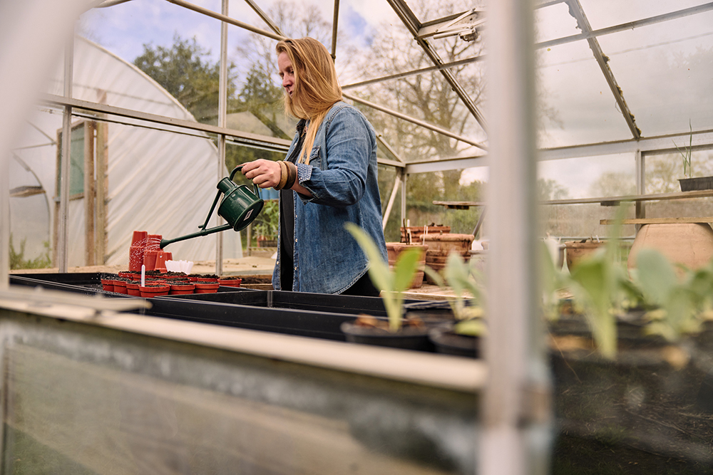 Walled Garden Revival - Bruton Somerset - Farm Shop